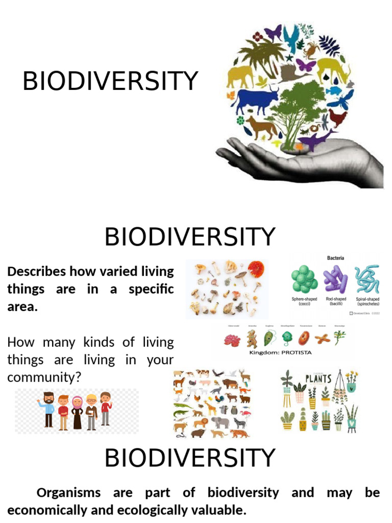 Science 10 Q3 Biodiversity | PDF