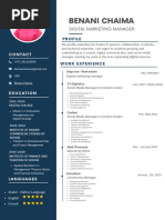 Isabella Ibrahim's Resume | PDF | Social Media | Popular Culture & Media Studies