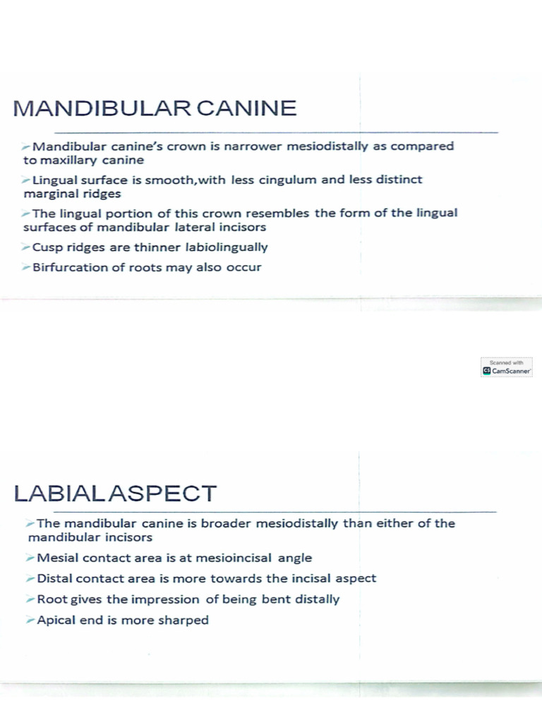 Mandibu. Lar Canine 22 May | PDF