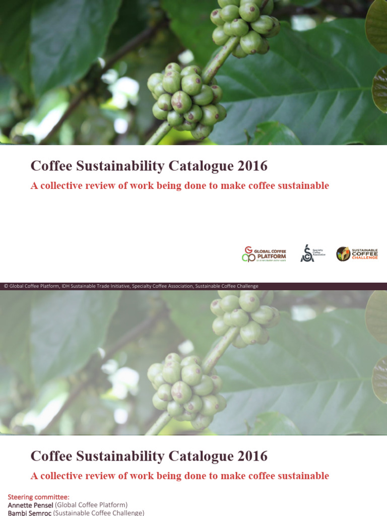 2016 Coffee Sustainability Overview | PDF | Sustainability | Economies