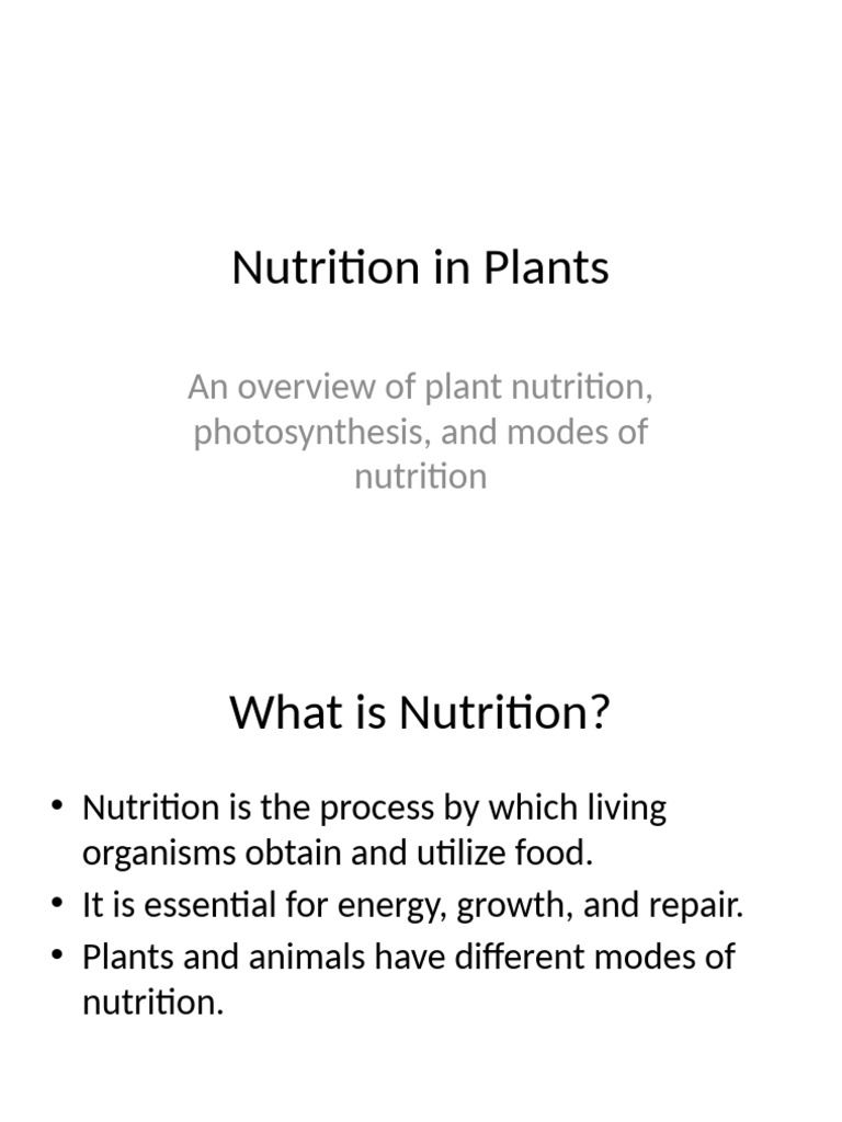 Nutrition in Plants Presentation | PDF