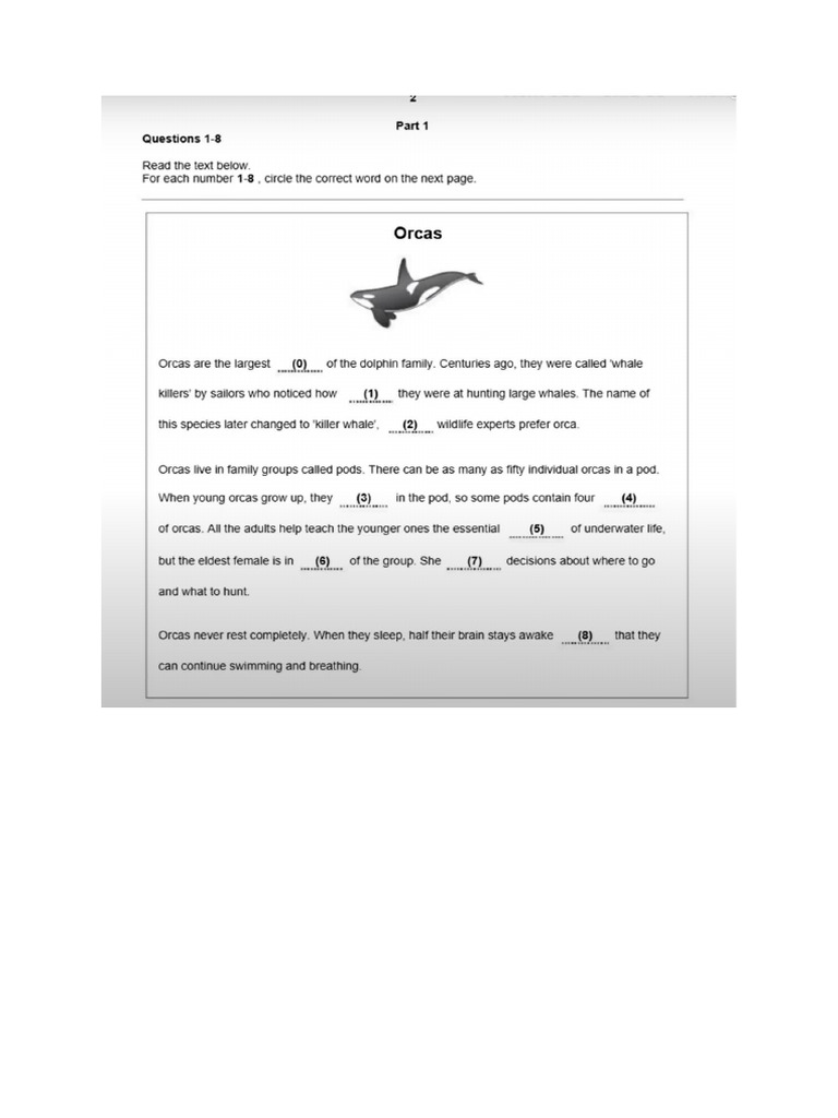 ESL Checkpoint 12 - 5 | PDF