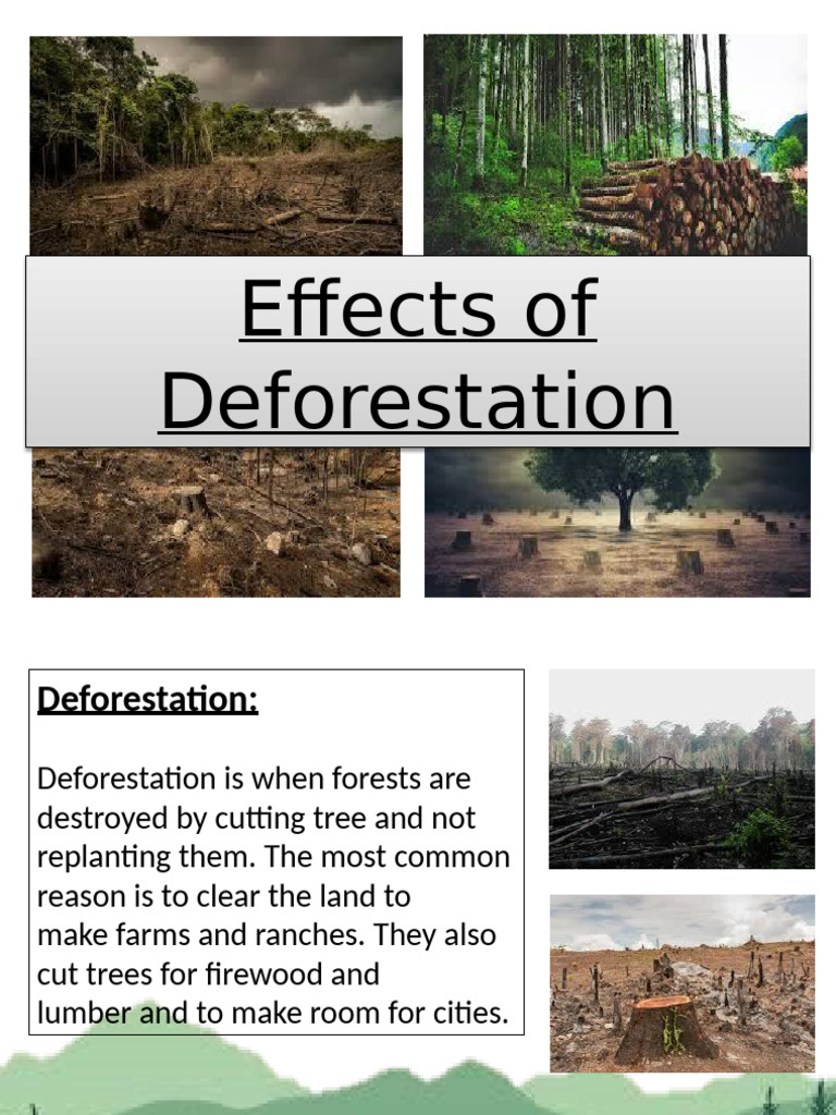Afforestation and Deforestation | PDF