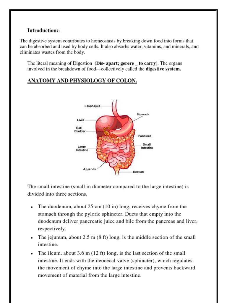 Small Intestine Disorders | Peptic Ulcer | Inflammatory Bowel Disease