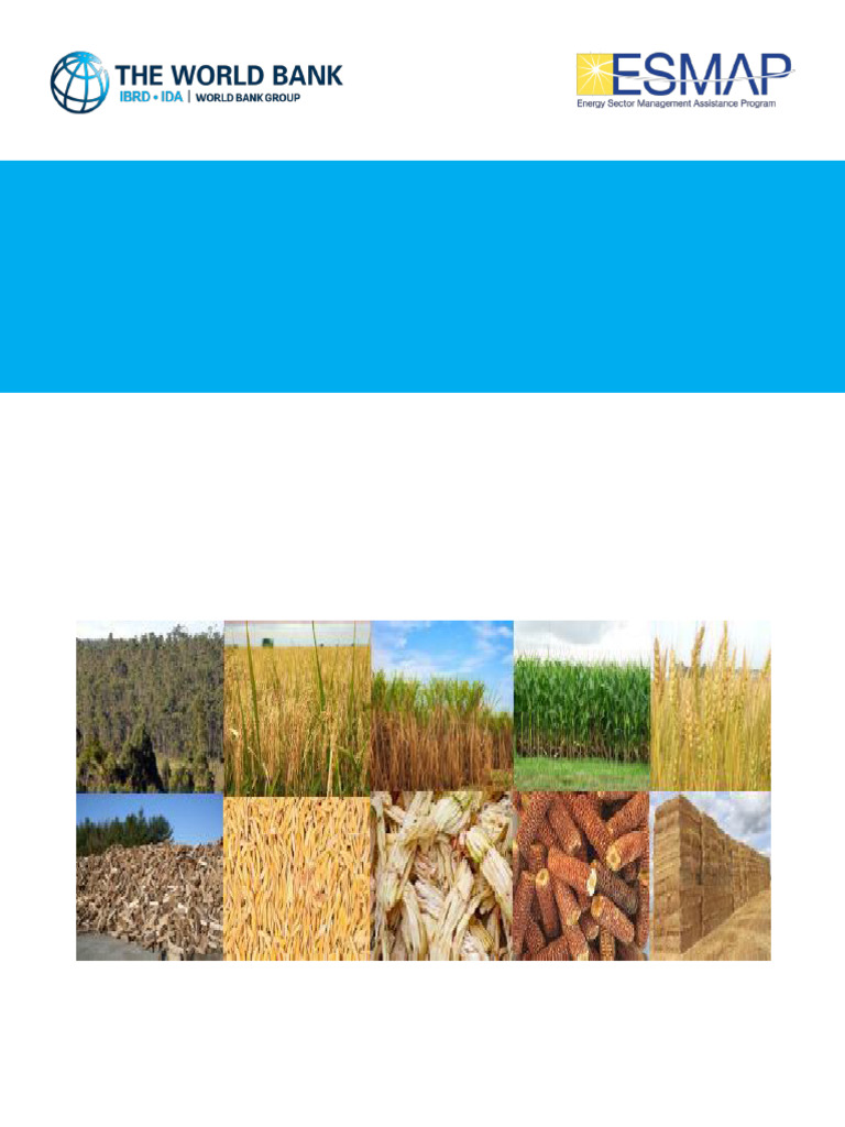 Biomass Resource Mapping in Vietnam Tra | PDF | Cogeneration