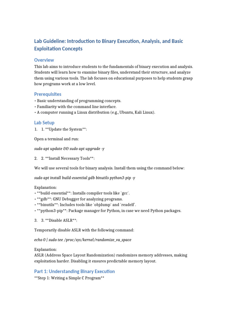 Lab Guideline Binary Execution | PDF