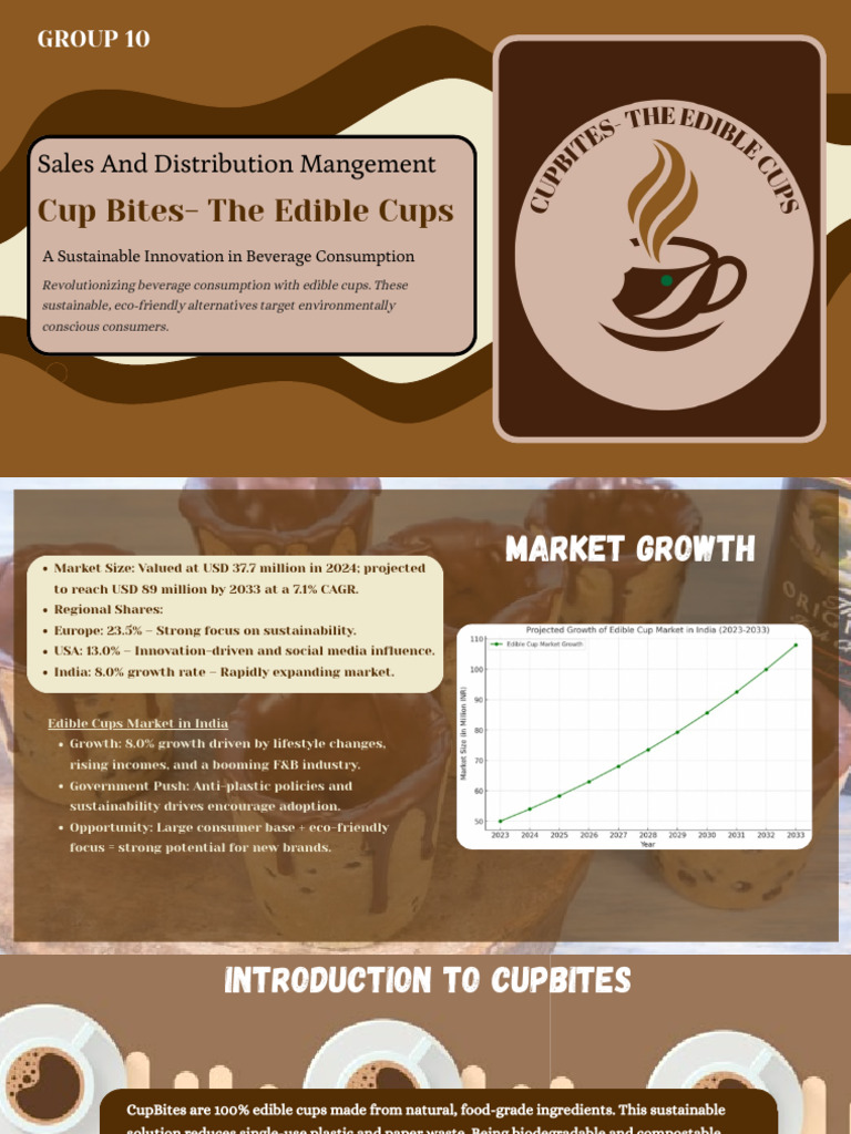 EcoBloom Sales Strategy | PDF | Retail | Marketing