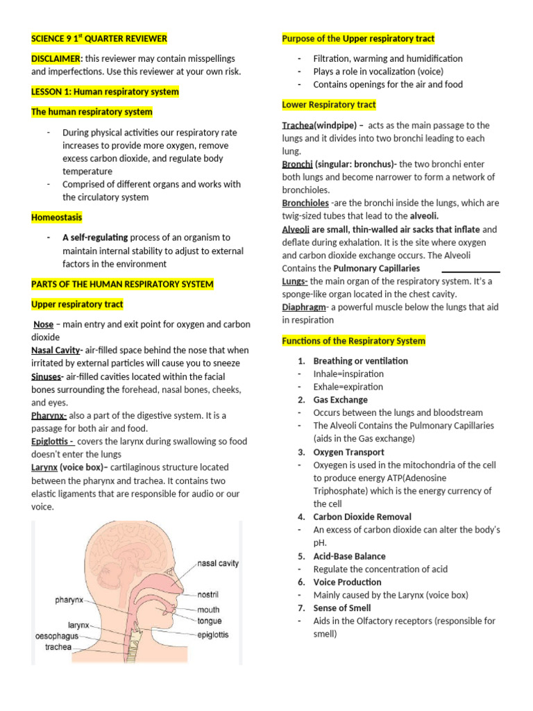 Science 9 1st Quarter Reviewer | PDF | Respiratory System | Lung