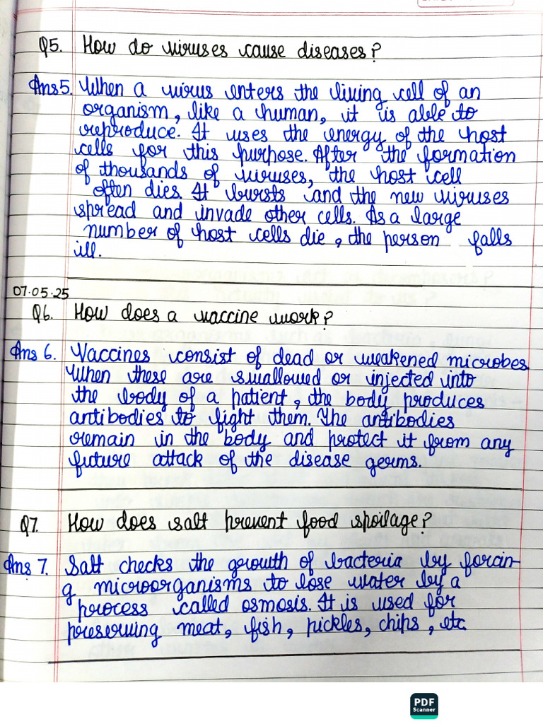 Science Work 2 Pdf