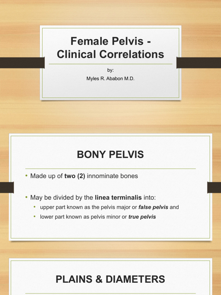 Clinical Female Pelvis - DR - Ababon | PDF | Pelvis | Skeletal System