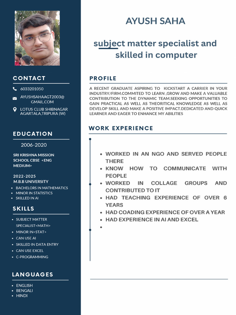 Blue Simple Professional CV Resume | PDF