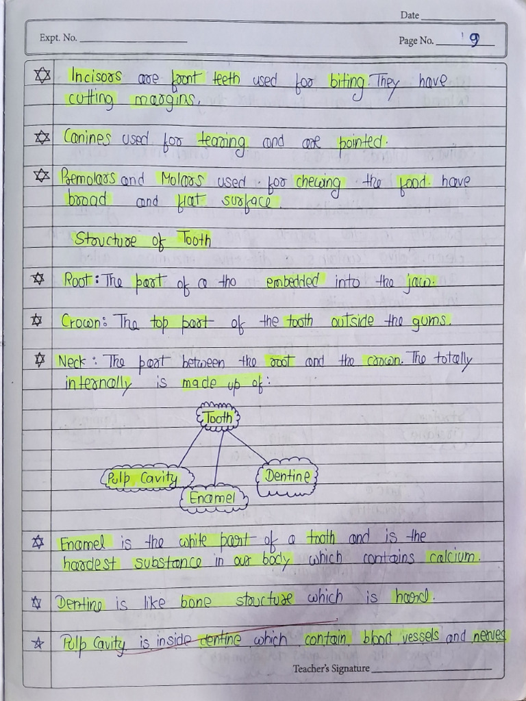 Scanned 20250616 162515 | PDF