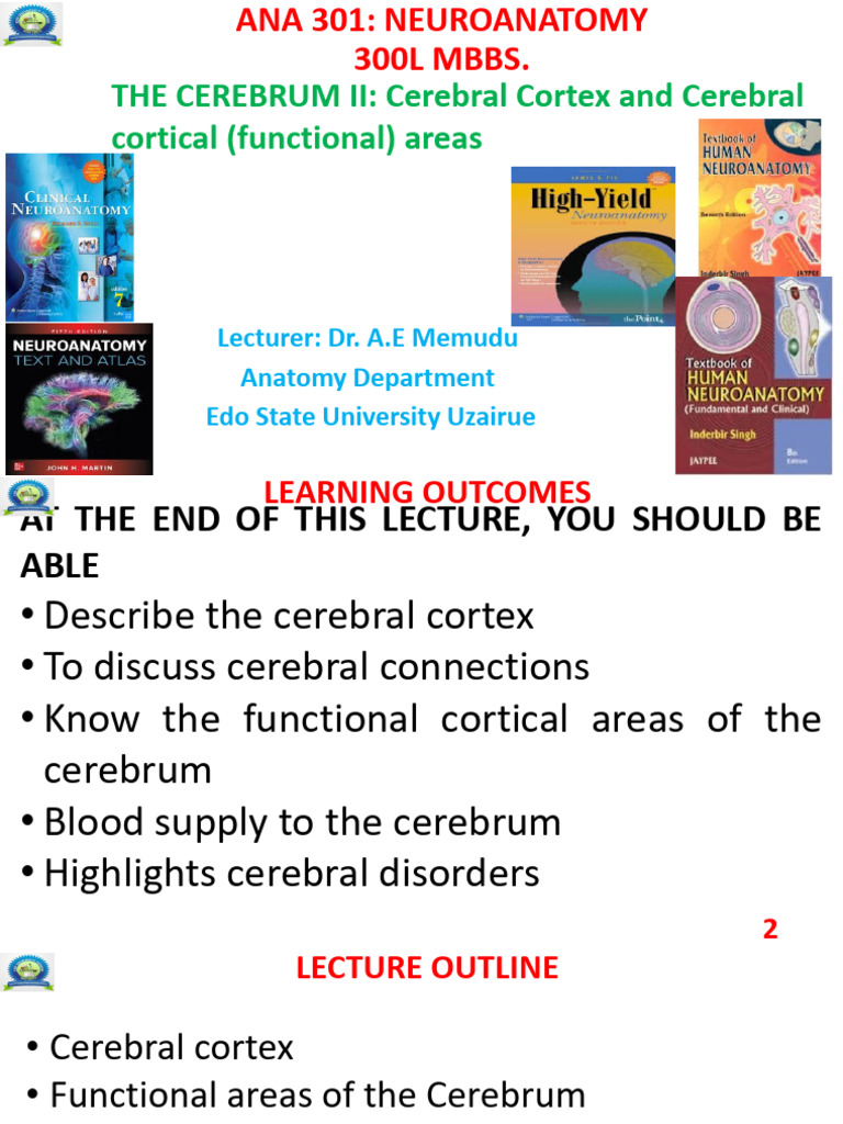Functional Areas of the Cerebral Cortex | PDF | Cerebral Cortex ...