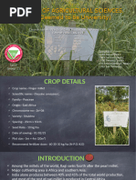 Soil Science Practical Soil Texture by Feel Method | PDF