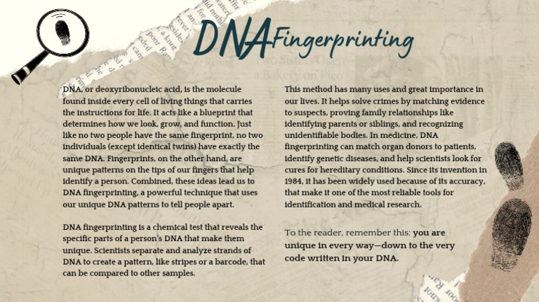 DNA Fingerprinting: Unique Identification | PDF