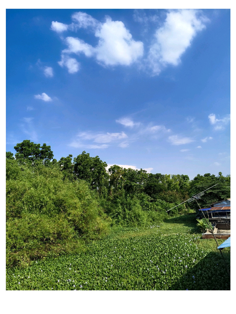 PDFGallery 20250616 193659 | PDF