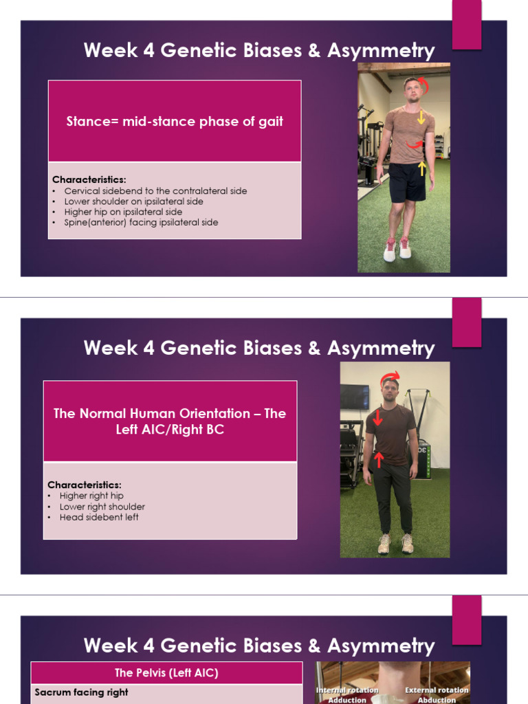 Genetic Biases and Gait Asymmetry Analysis | PDF | Anatomical Terms Of ...
