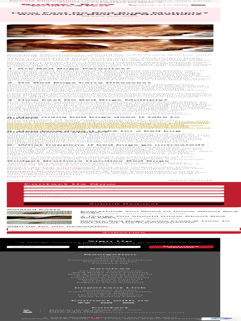 How Fast Do Bed Bugs Multiply Answering Bed Bug Questions - Budget ...