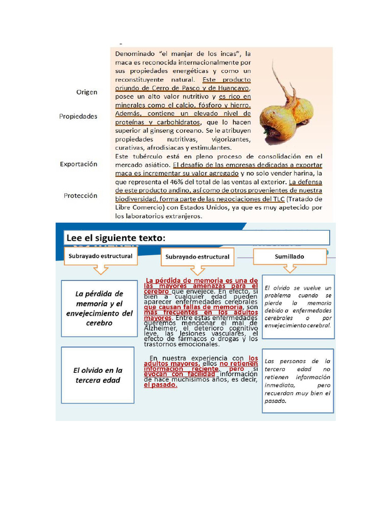 Ejemplos de Sumillado | PDF