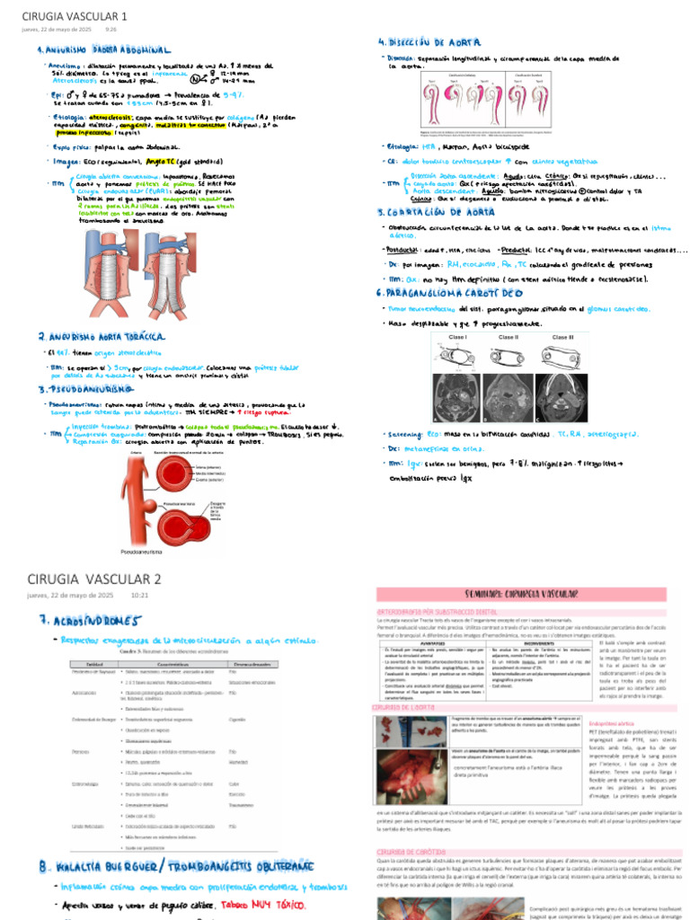 Ciru Vascular | PDF