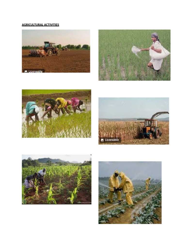 Agricultural Activities | PDF