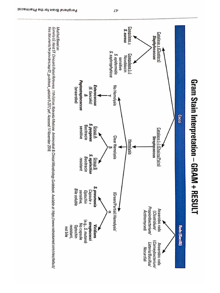 Gram Staining Flow Charts | PDF