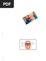 Tongue Jaw Dissociation Exercises | PDF | Homework