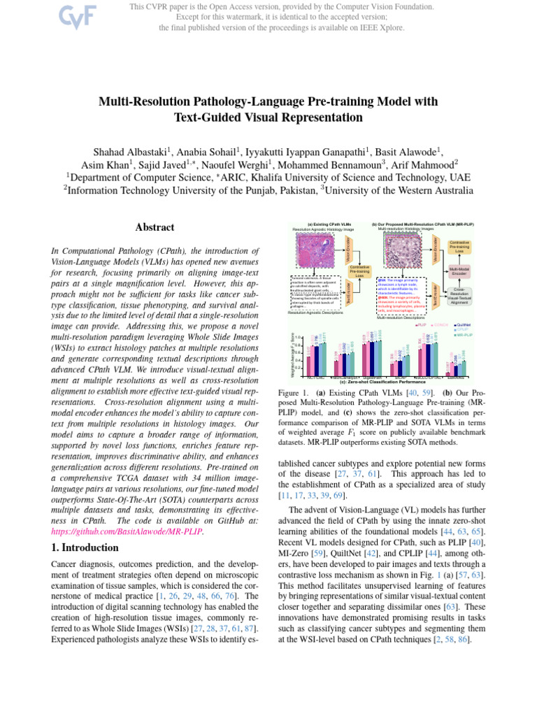 Albastaki Multi-Resolution Pathology-Language Pre-Training Model With Text-Guided Visual ...