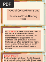 Agri Lesson 5 - Types of Orchard Farm | PDF | Trees | Fruit