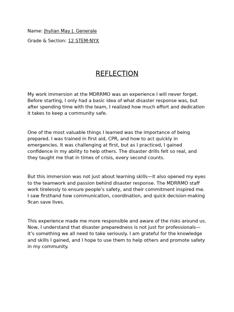 Work Immersion (Reflection) | PDF