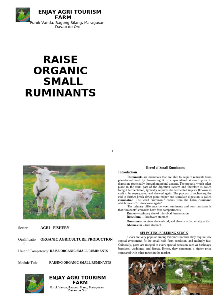 Module 6 Raise Organic Ruminants | PDF | Ruminant | Goat