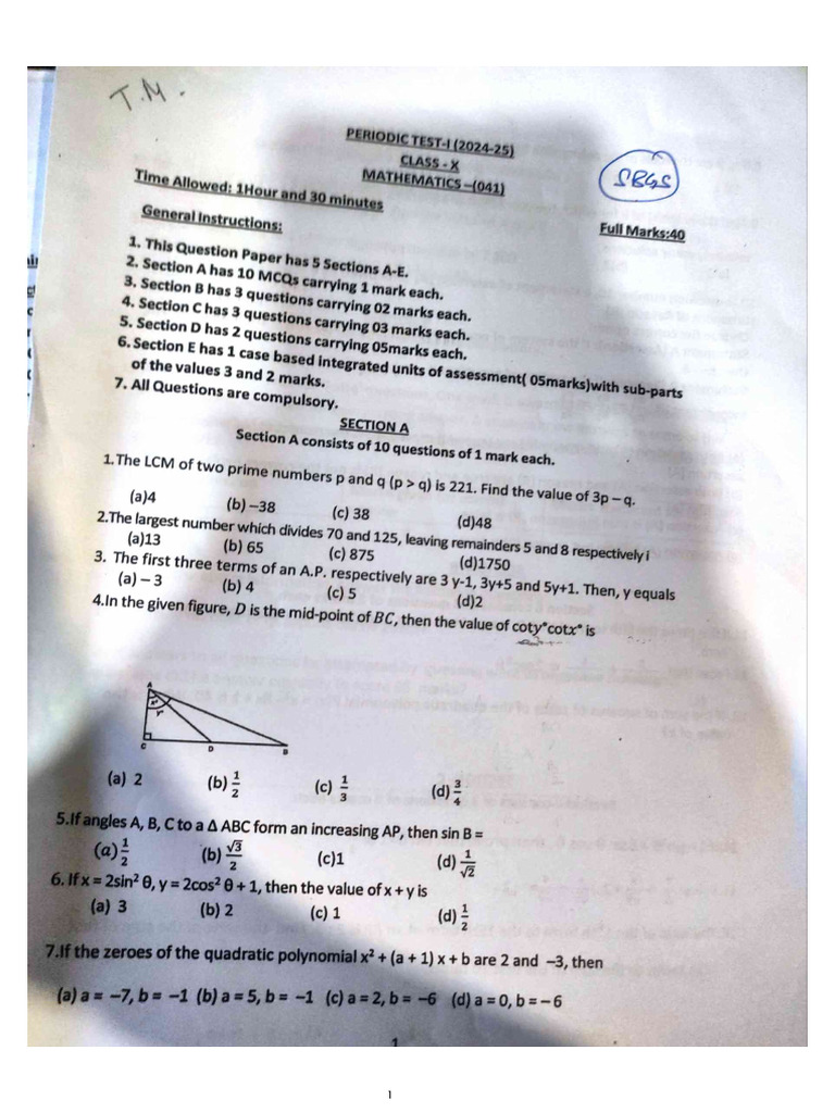 Maths-PT 1 (2024-25) | PDF