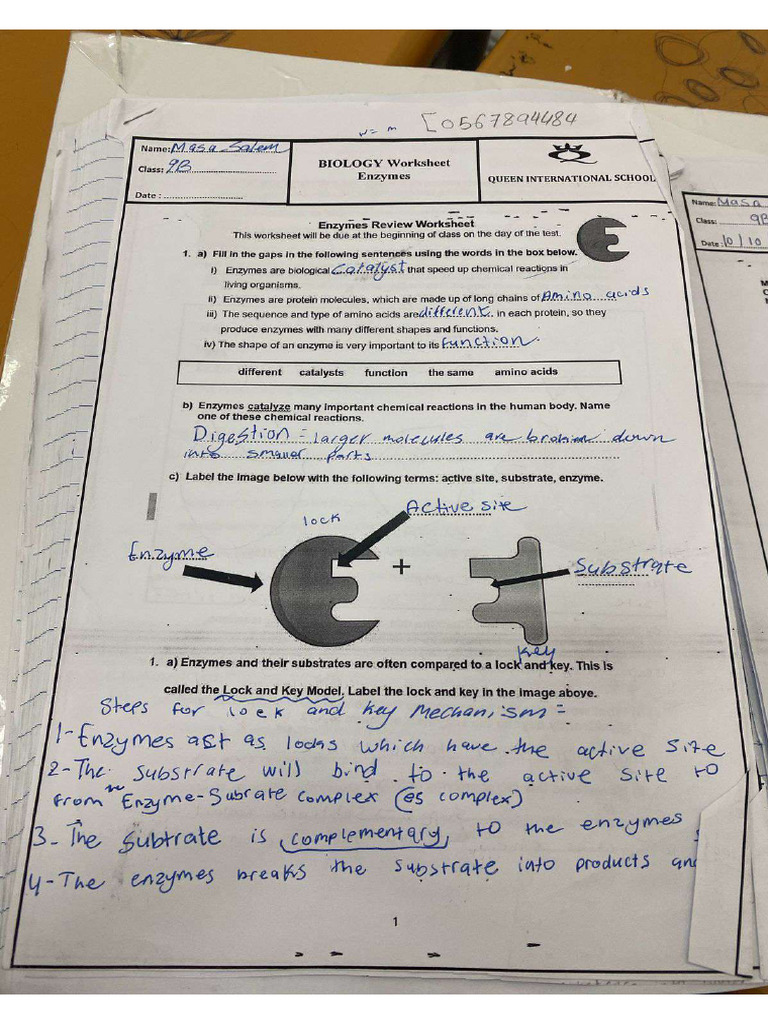 Exam Portion PDF | PDF
