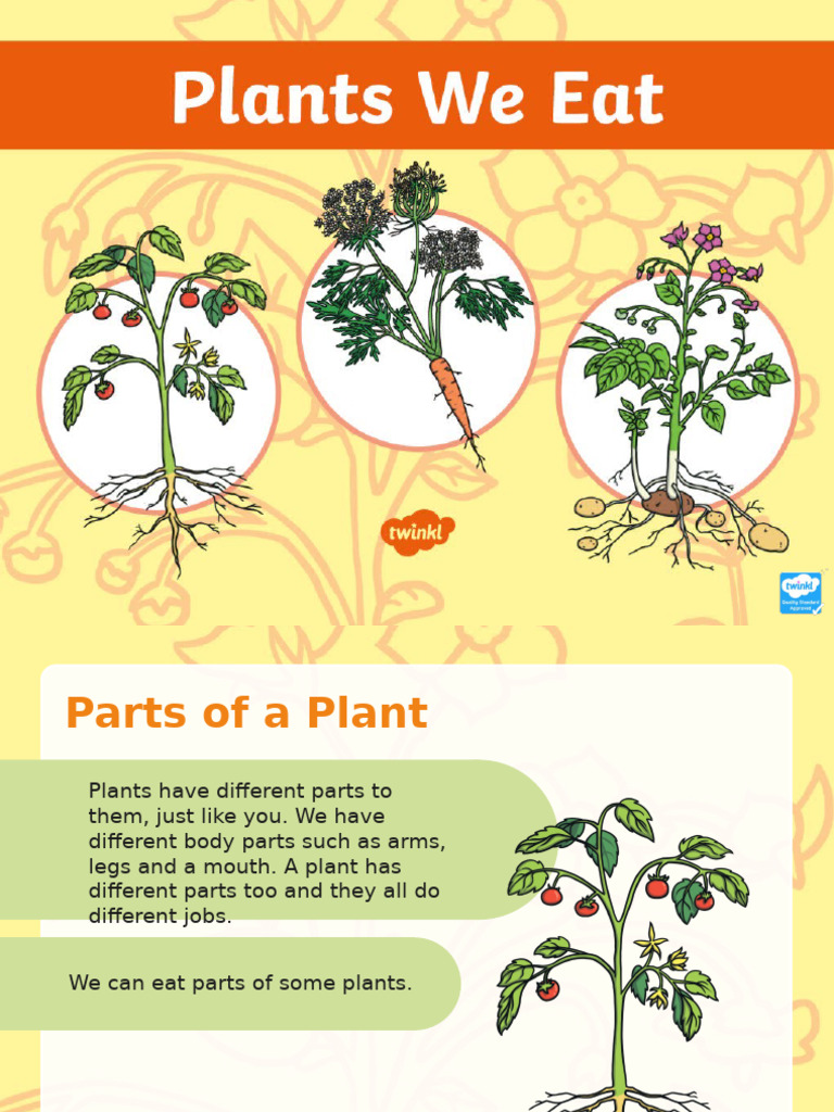 Parts of Plant We Eat | PDF