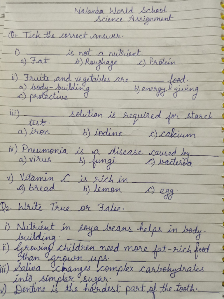 science assignment class 4 | PDF