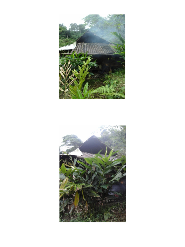 Poto Mang Aceng | PDF