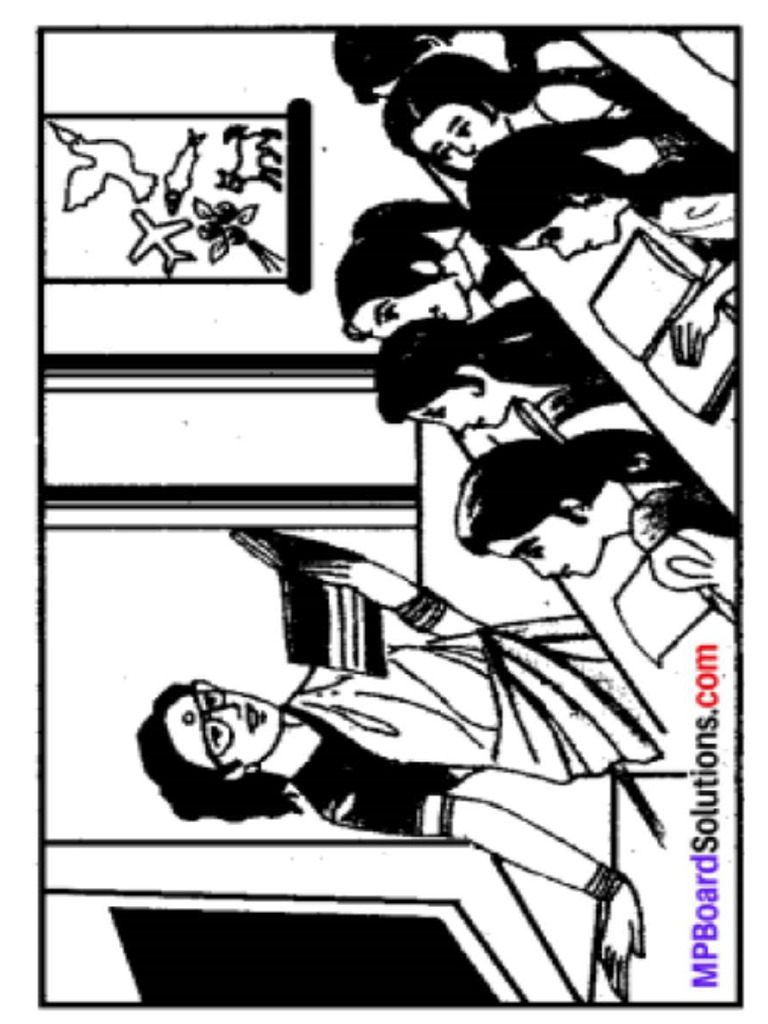 Activity Class II | PDF