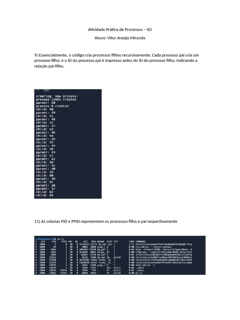 Atividade Prática de Processos | PDF