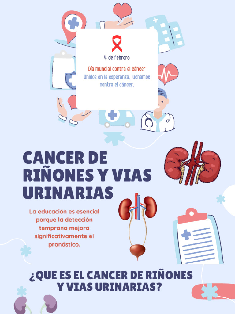 Cancer de Riñones y Vias Urinarias - 20250128 - 180919 - 0000 | PDF ...
