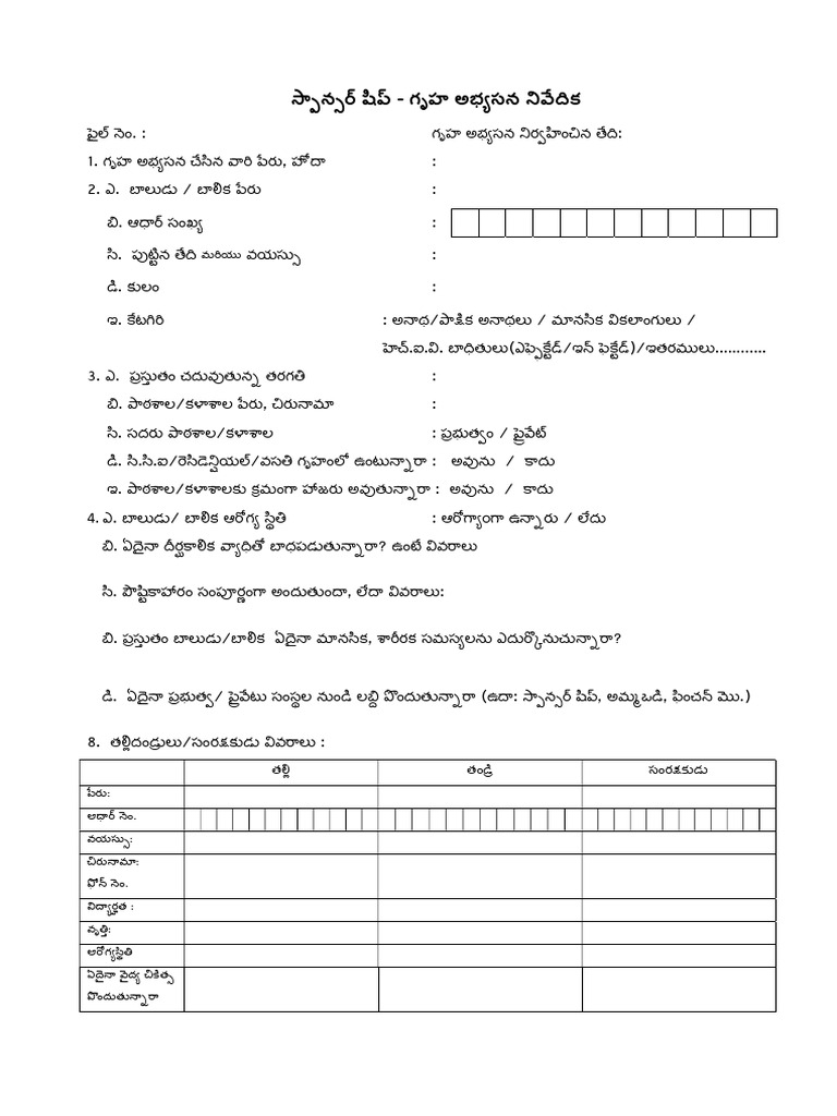 HSR Format Google PDF | PDF