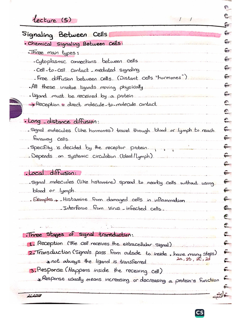 MB Cell Signaling | PDF