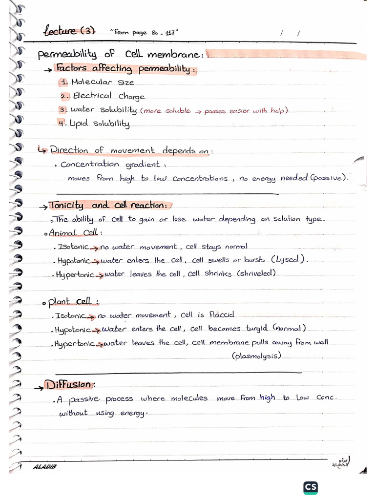 Plasma Membrane Part 3 | PDF