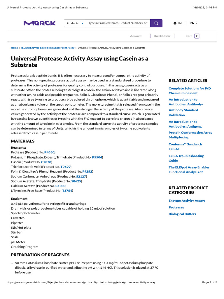 Universal Protease Activity Assay Using Casein As A Substrate | PDF ...