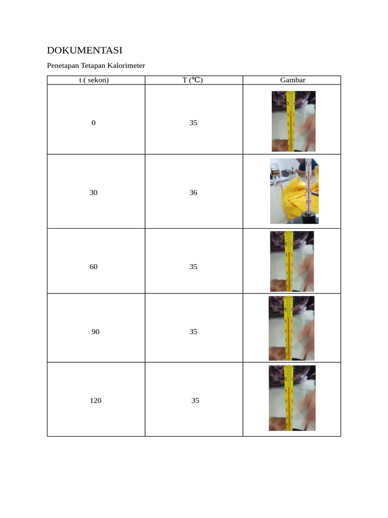 Dokumenta S 1 Kal or I Meter | PDF