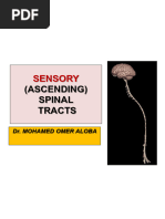 Dorsal Column-Medial Lemniscus (DCML) Pathway - Anatomy - Kenhub | PDF ...