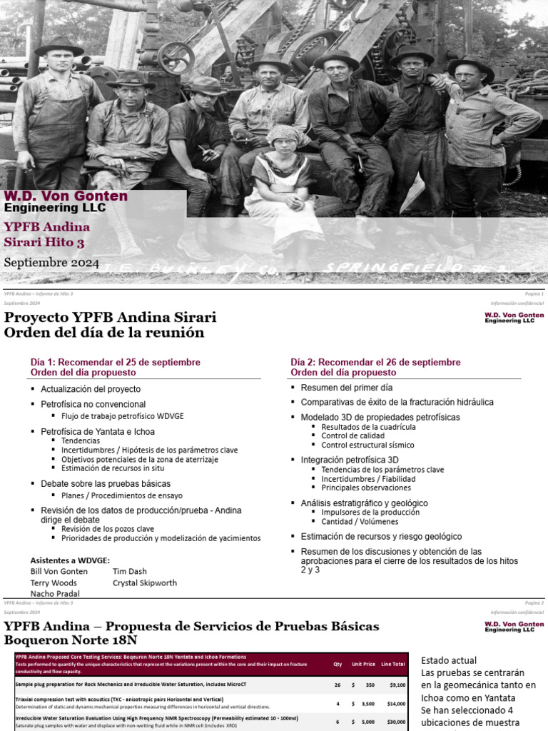 WDVGE - YPFB Andina Milestone 3 Report SP | PDF | Arenisca | Materiales