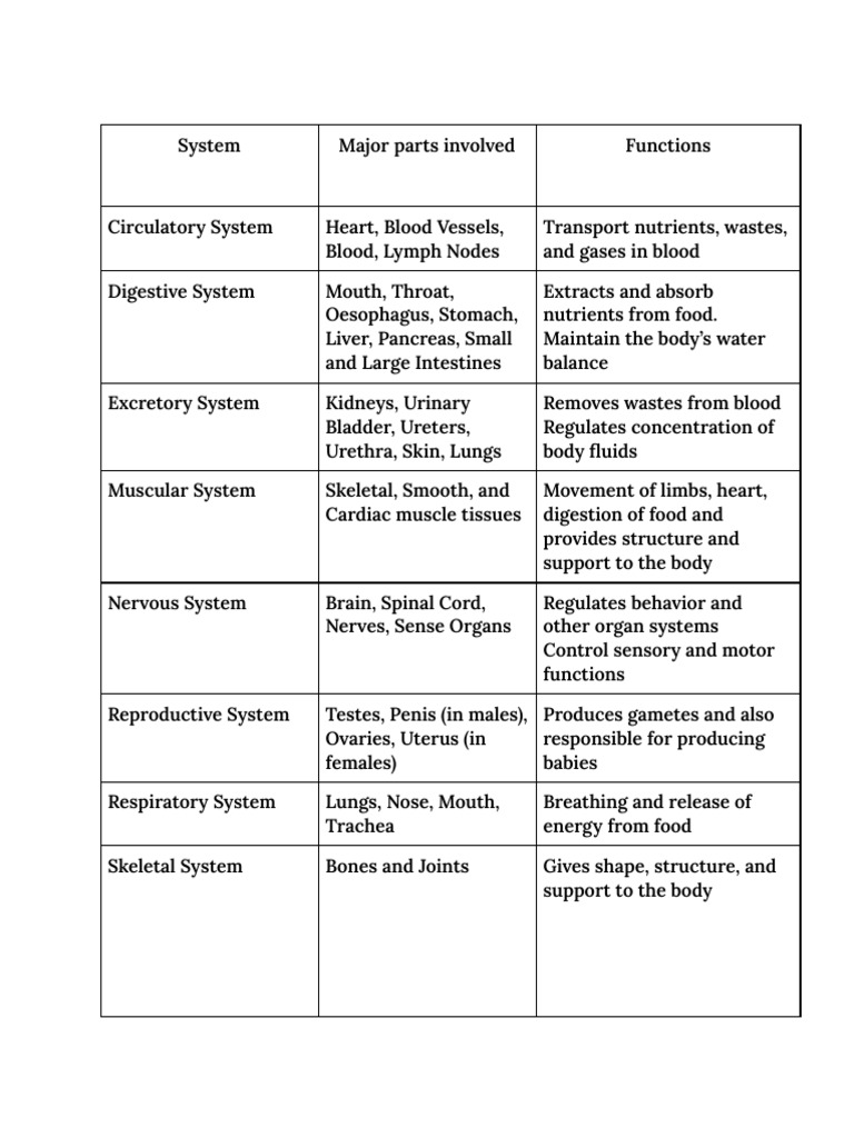 Body Systems - Bones and Muscles | PDF