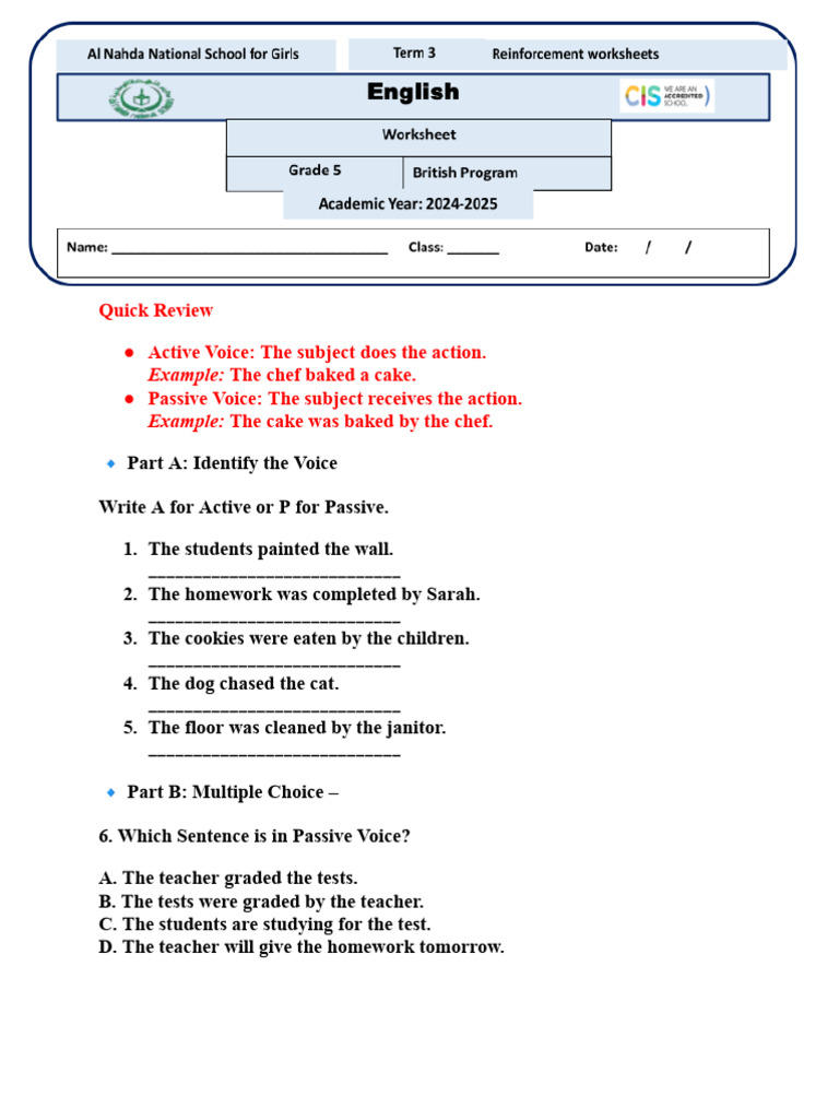Reinforcement Worksheets - Grammar | PDF | Noun | Linguistic Typology