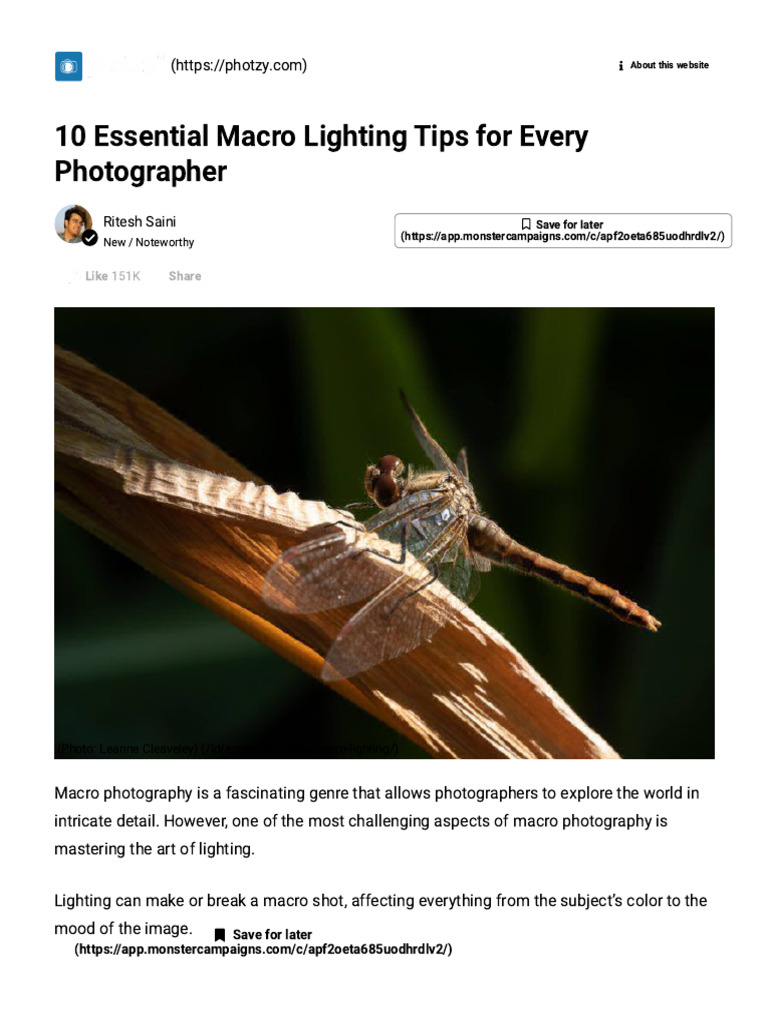 10 Essential Macro Lighting Tips For Every Photographer - Photzy | PDF ...