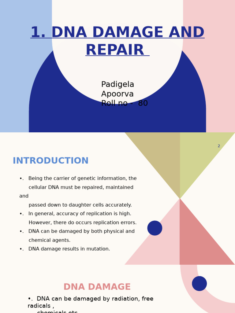 DNA Damage and Repair Mechanisms | PDF | Dna Repair | Dna